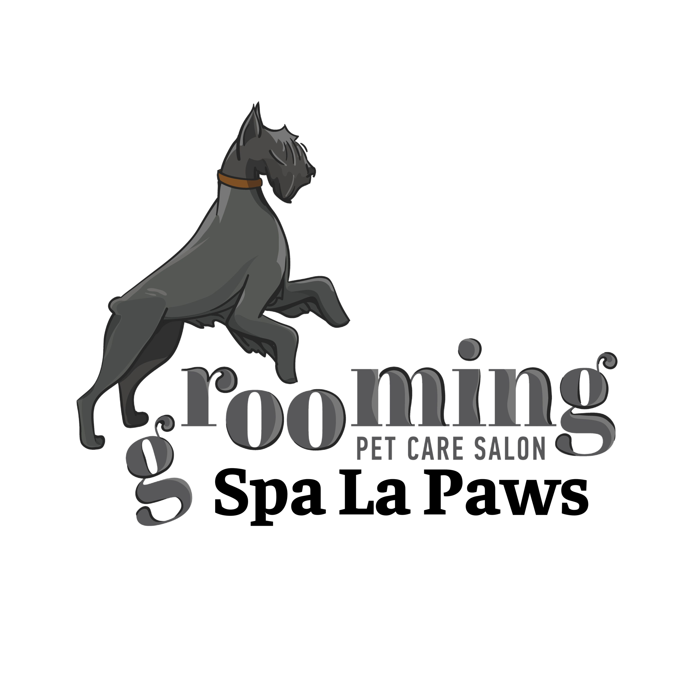 Professional Dog Grooming in Spring, TX | Spa La Paws